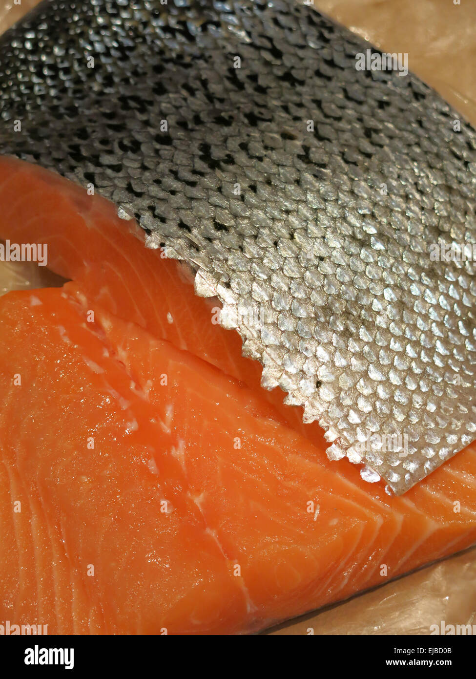 Close-up, Fresh Salmon Fillet Stock Photo - Alamy