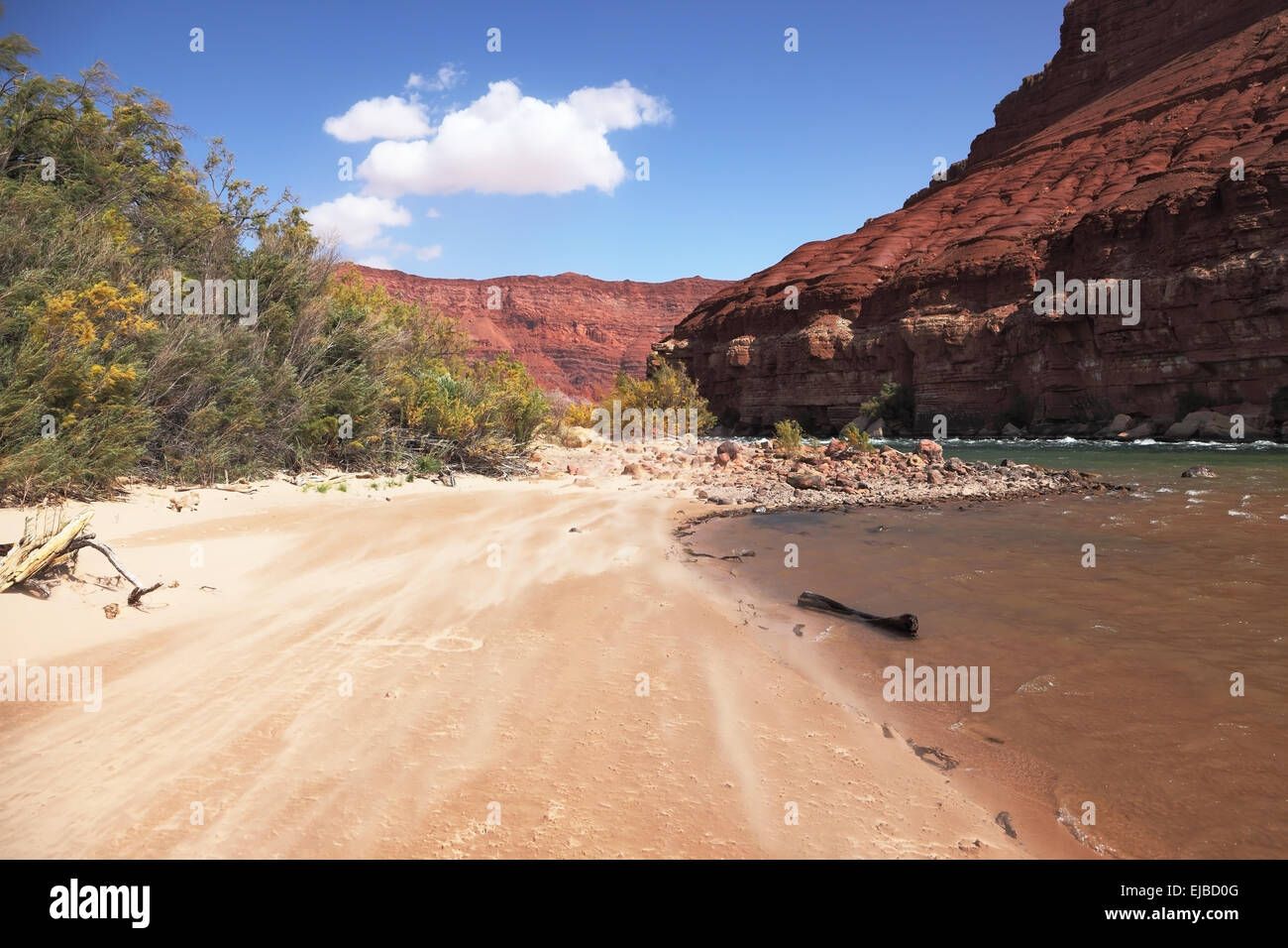 The sandy beach on the Colorado River Stock Photo - Alamy