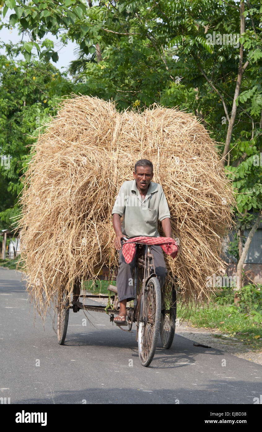 Freight rickshaw load tricycle hi-res stock photography and images - Alamy