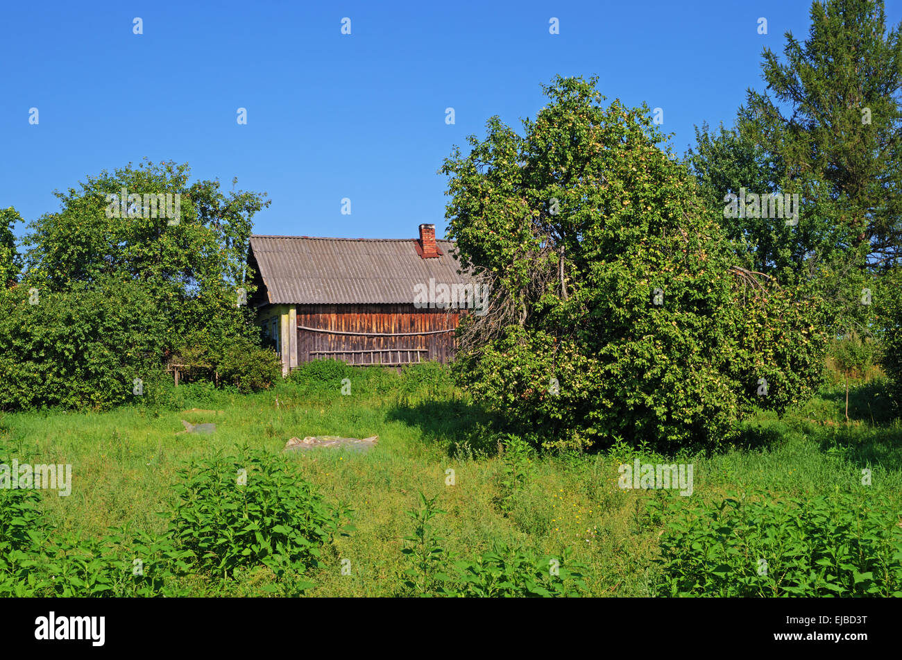 Rural landscape - field behind a house Stock Photo - Alamy