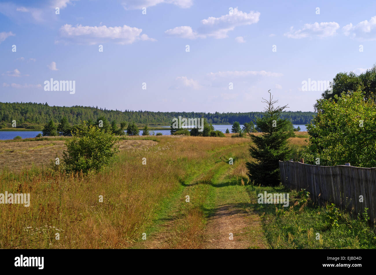 Rural landscape - road to lake Stock Photo - Alamy