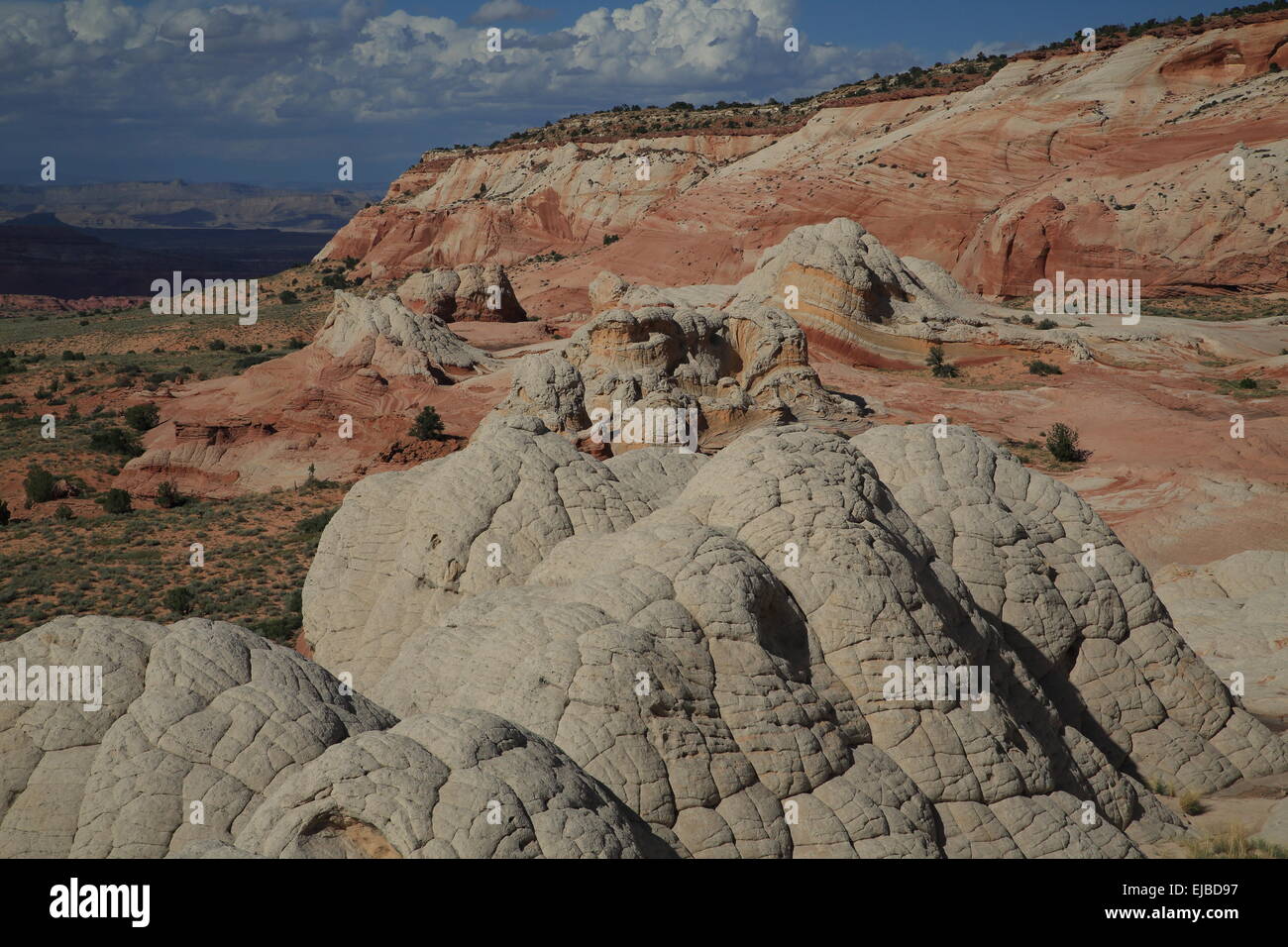 White Pocket Arizona Stock Photo - Alamy