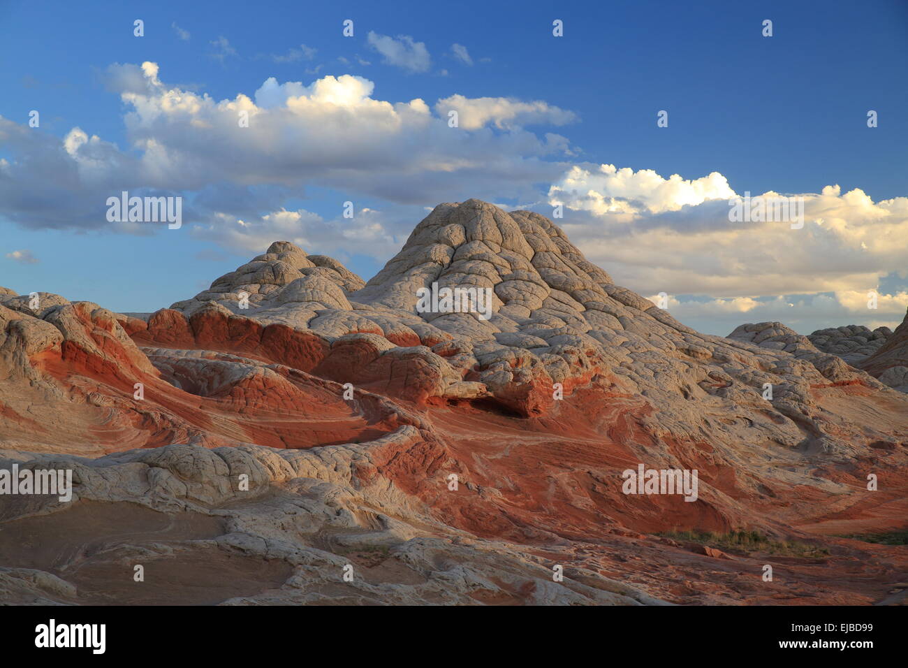 White Pocket Arizona Stock Photo - Alamy