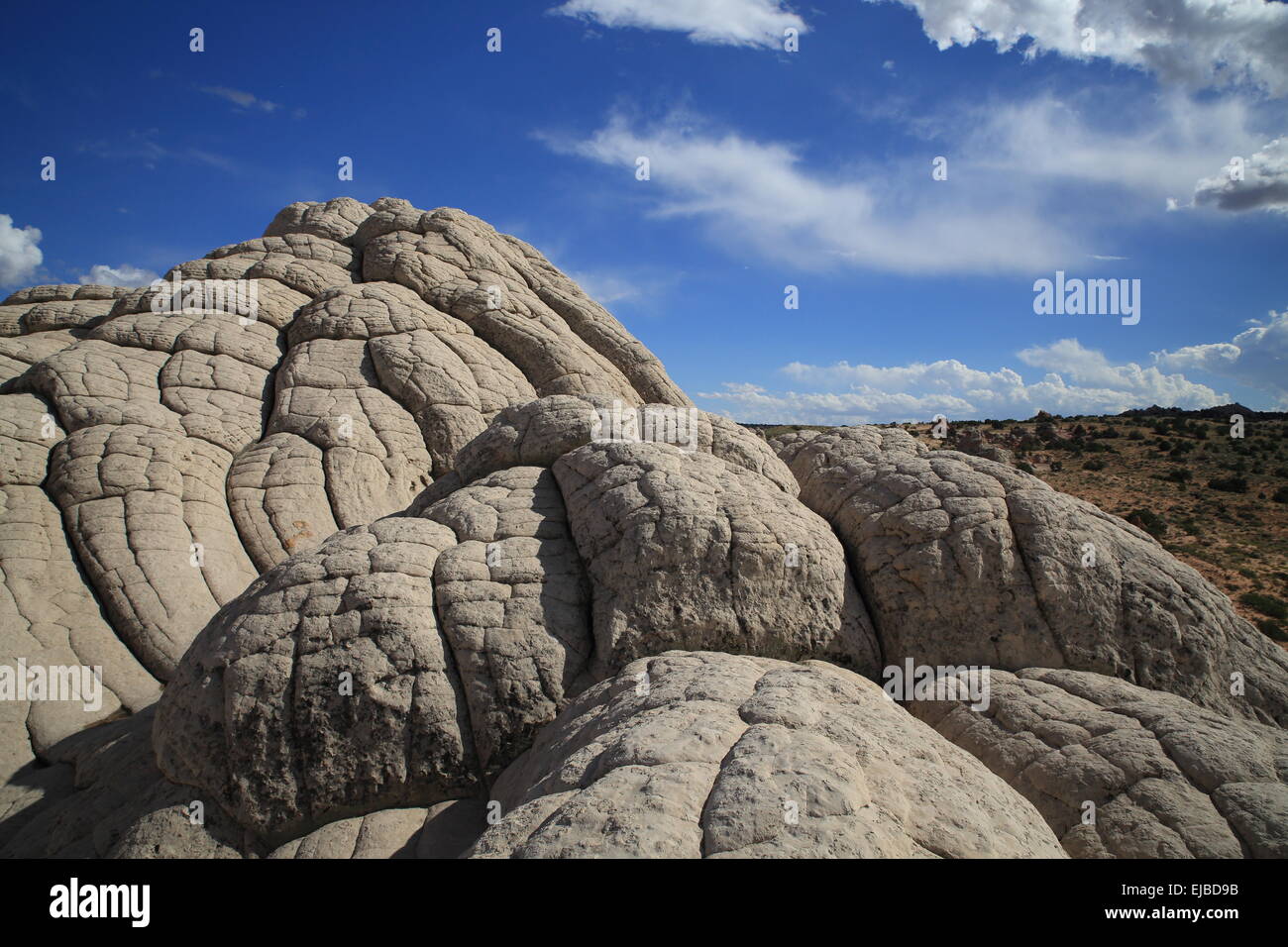 White Pocket Arizona Stock Photo - Alamy