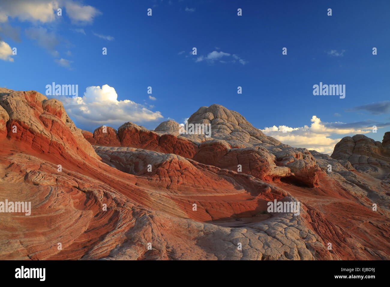 White Pocket Arizona Stock Photo - Alamy