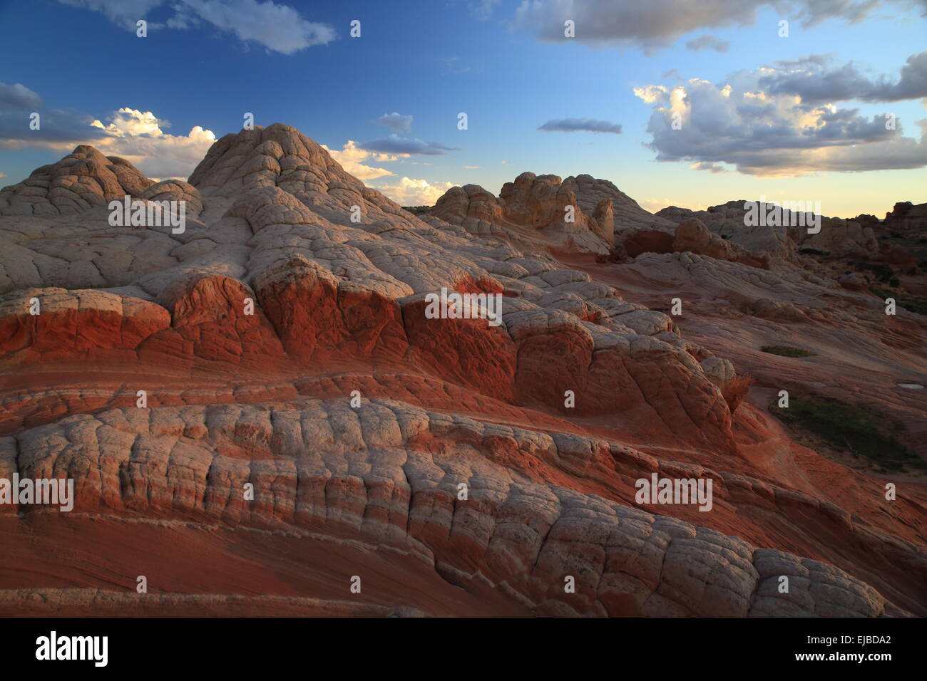 White Pocket Arizona Stock Photo - Alamy
