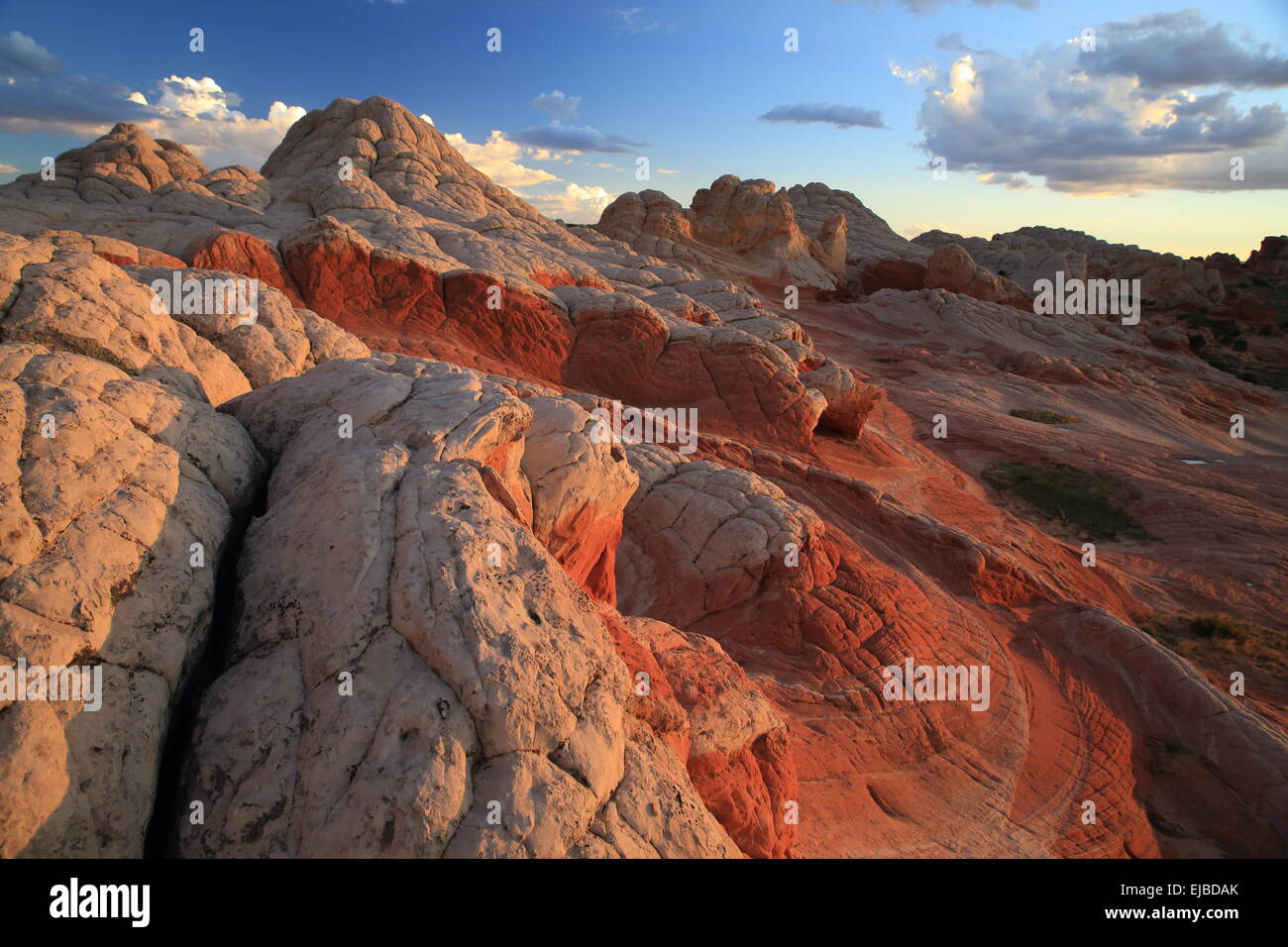 White Pocket Arizona Stock Photo - Alamy