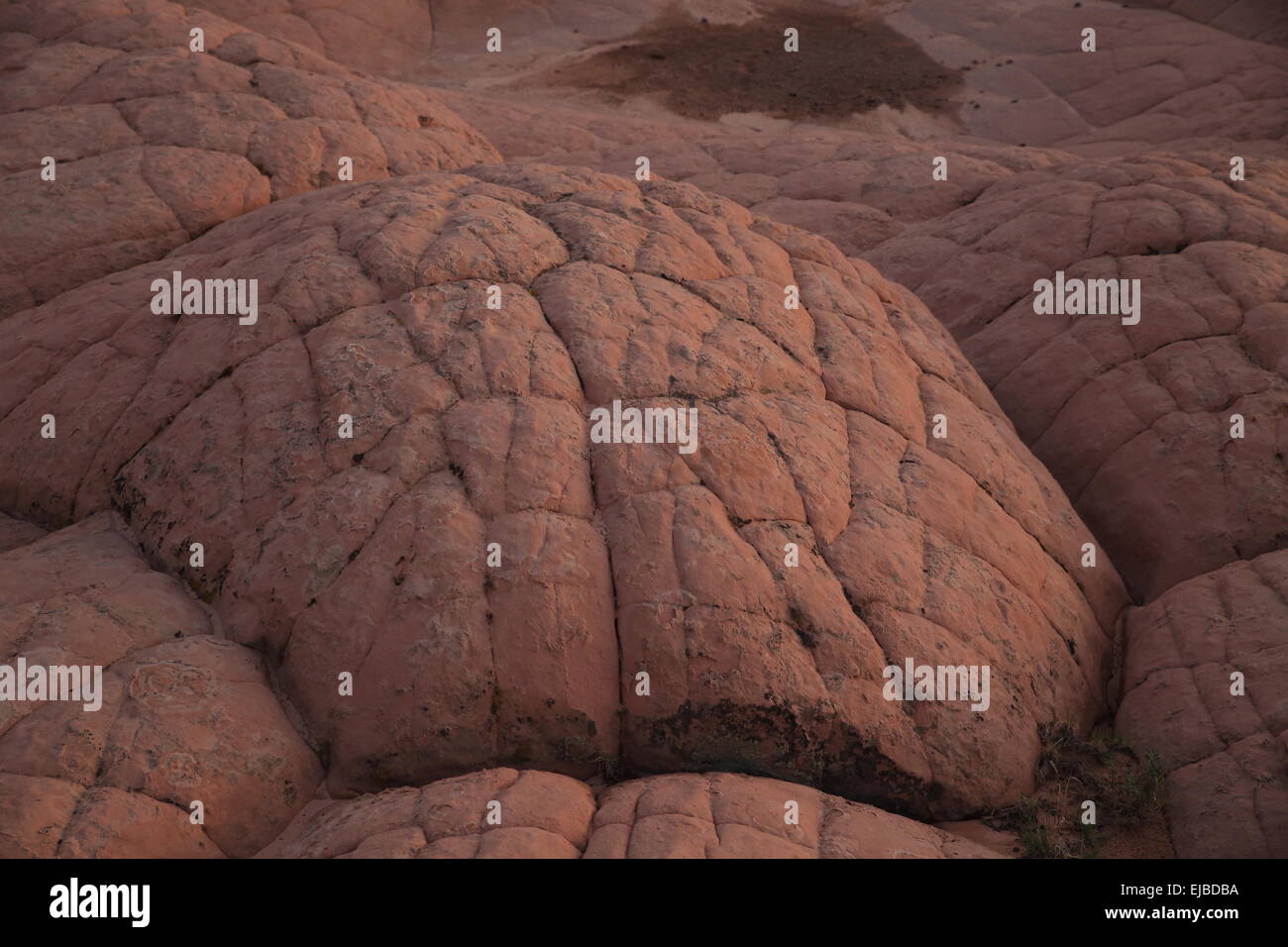 White Pocket Arizona Stock Photo - Alamy