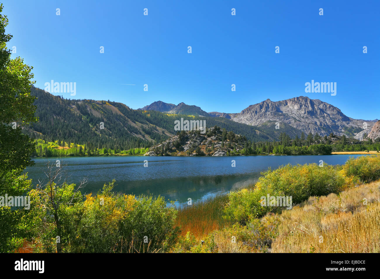 Silent environment hi-res stock photography and images - Alamy