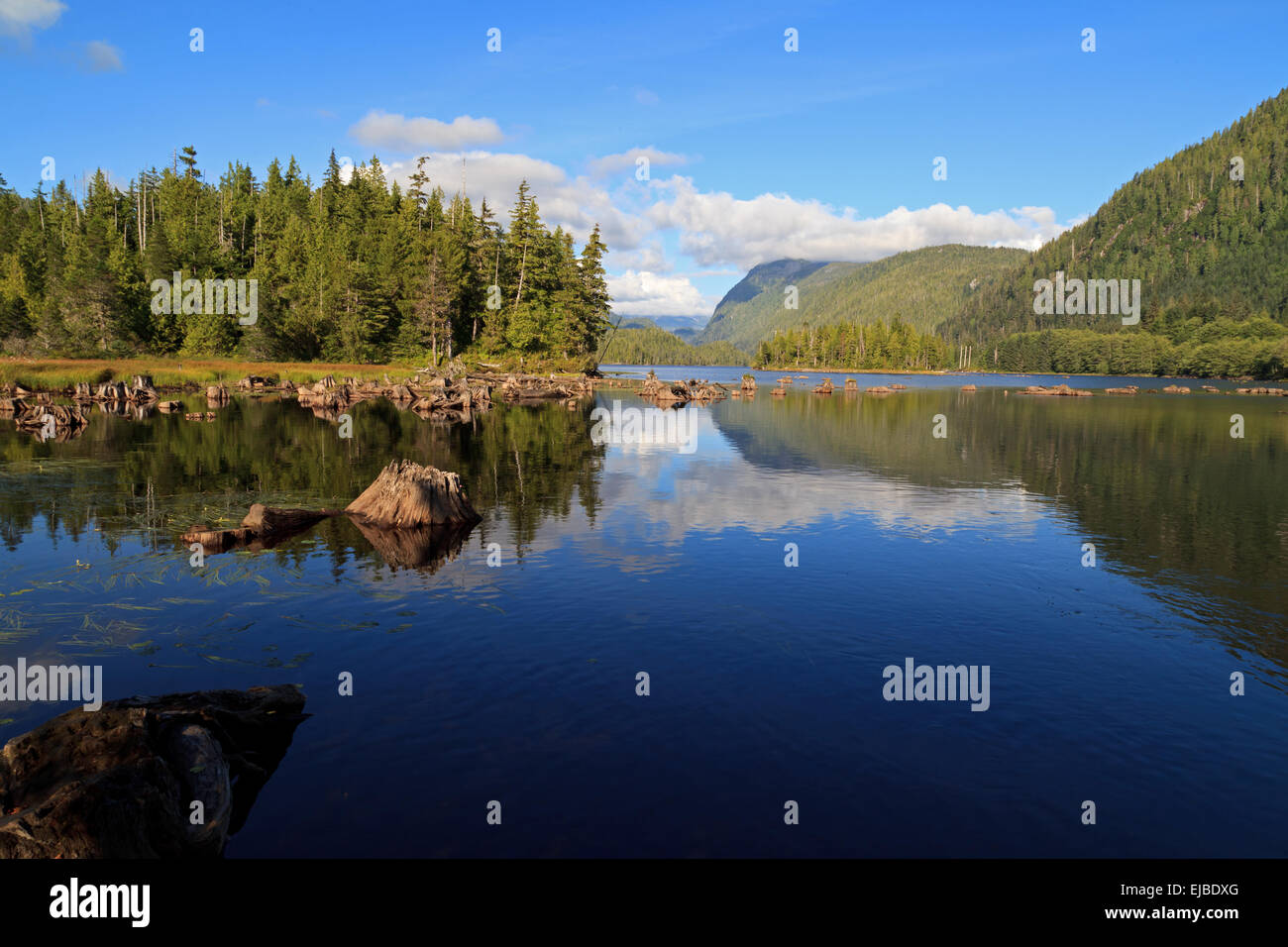 Canadian river landscape Stock Photo - Alamy