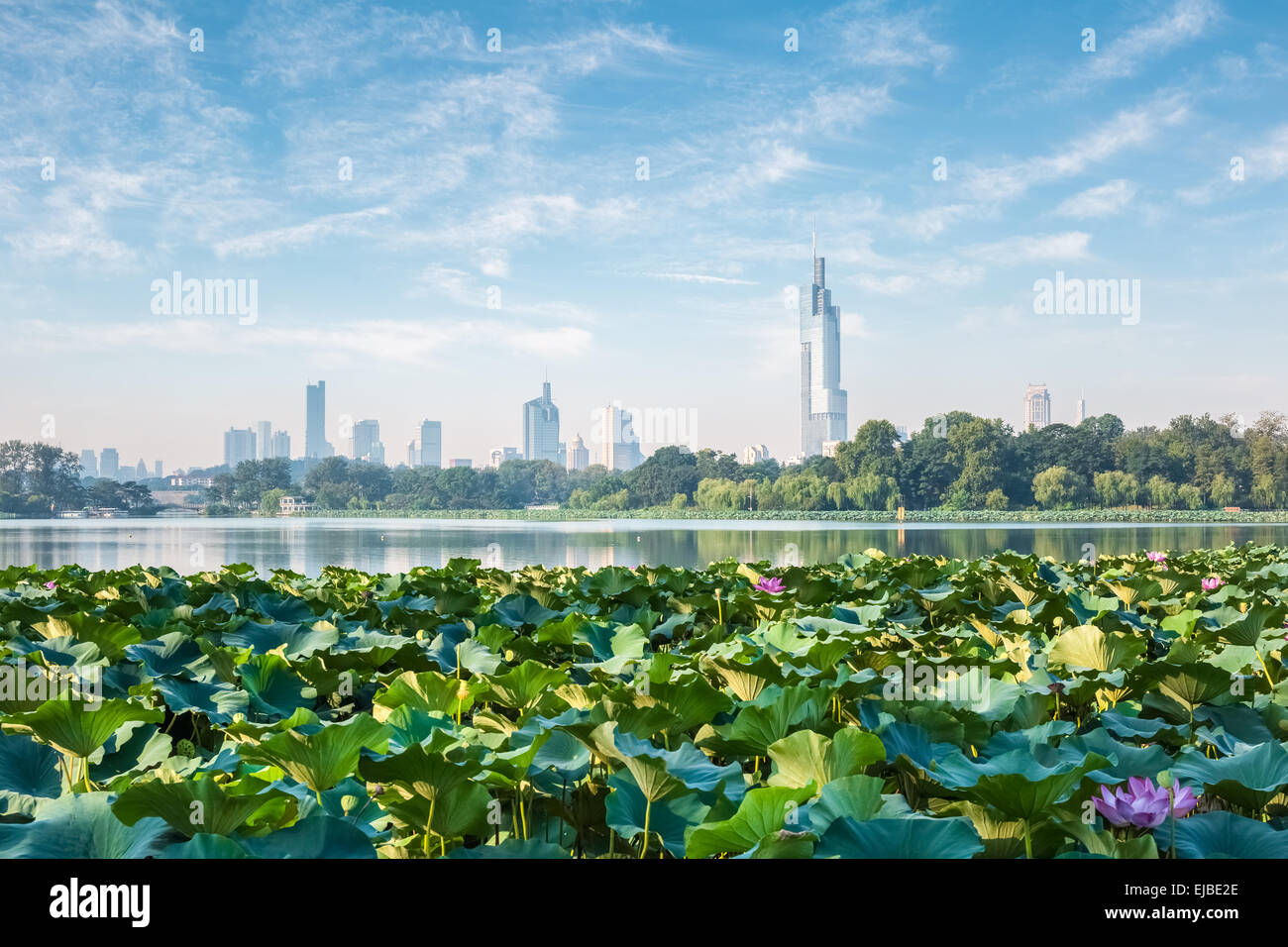Nanjing hi-res stock photography and images - Alamy