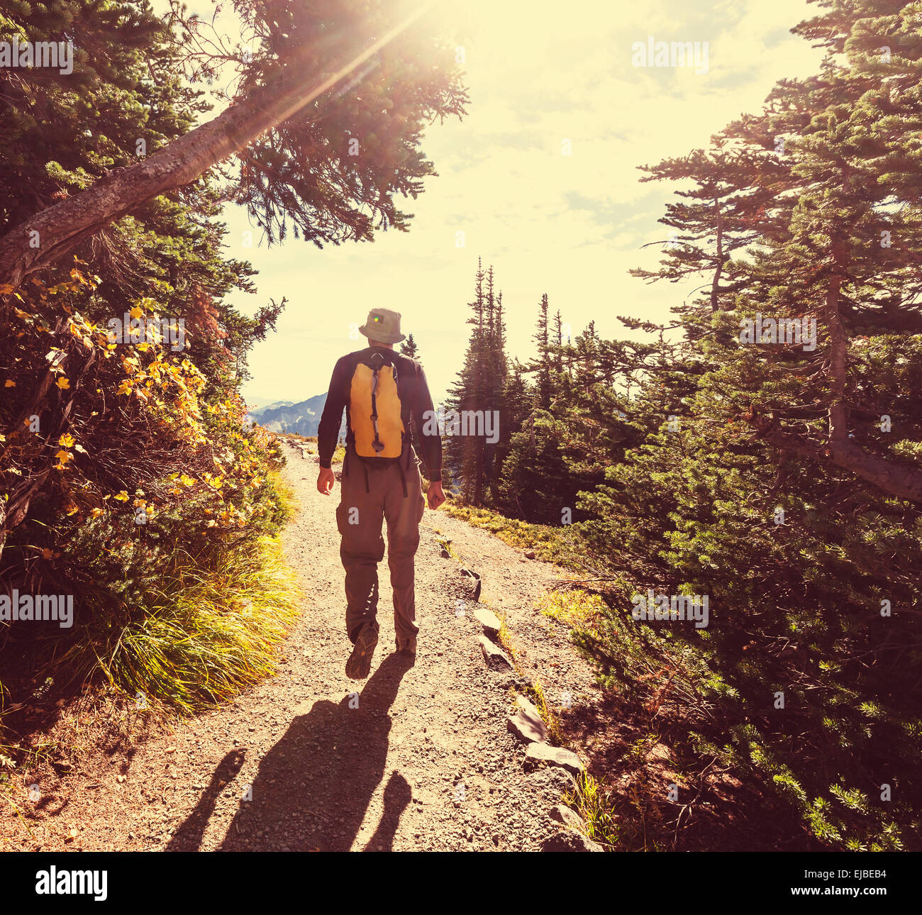 Hike in mountains Stock Photo - Alamy