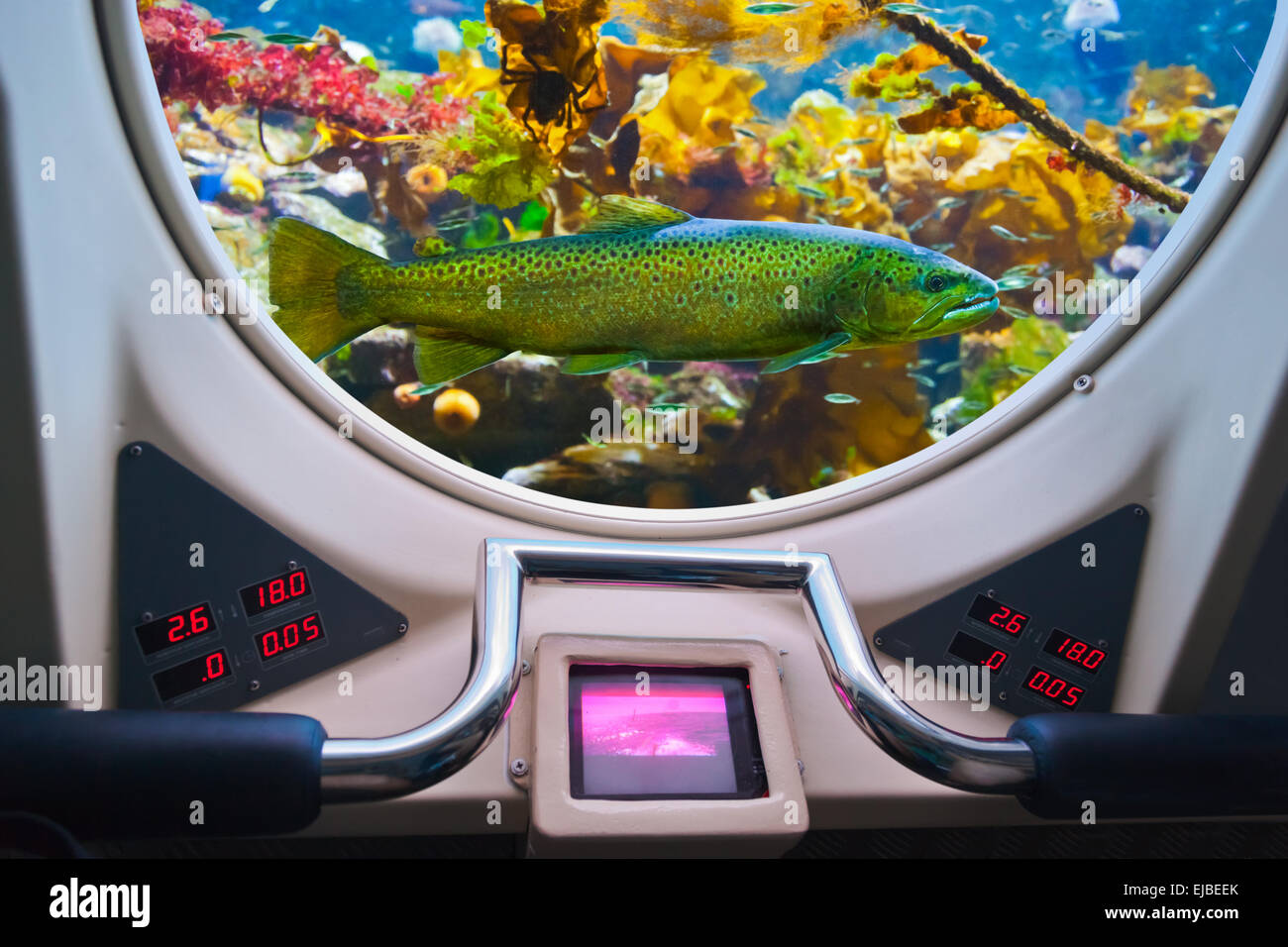 Deep dive submarine in the water hi-res stock photography and images ...