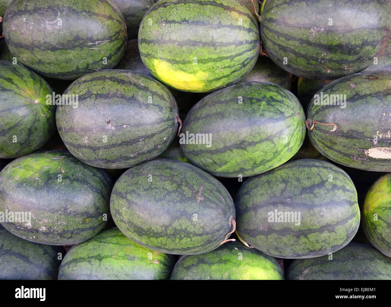 Group of watermelons hi-res stock photography and images - Alamy