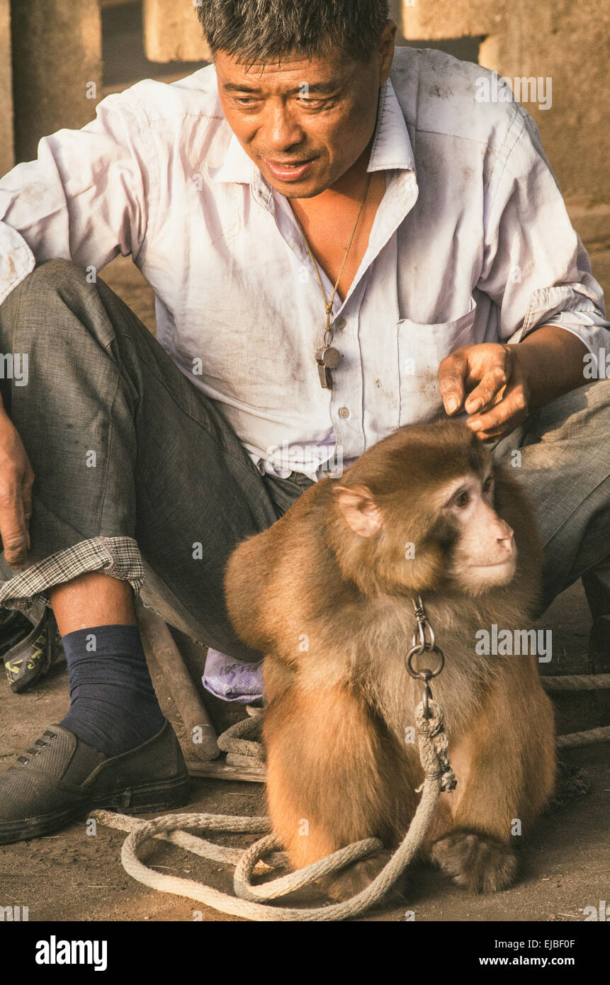Monkey trainer performing in china Stock Photo - Alamy