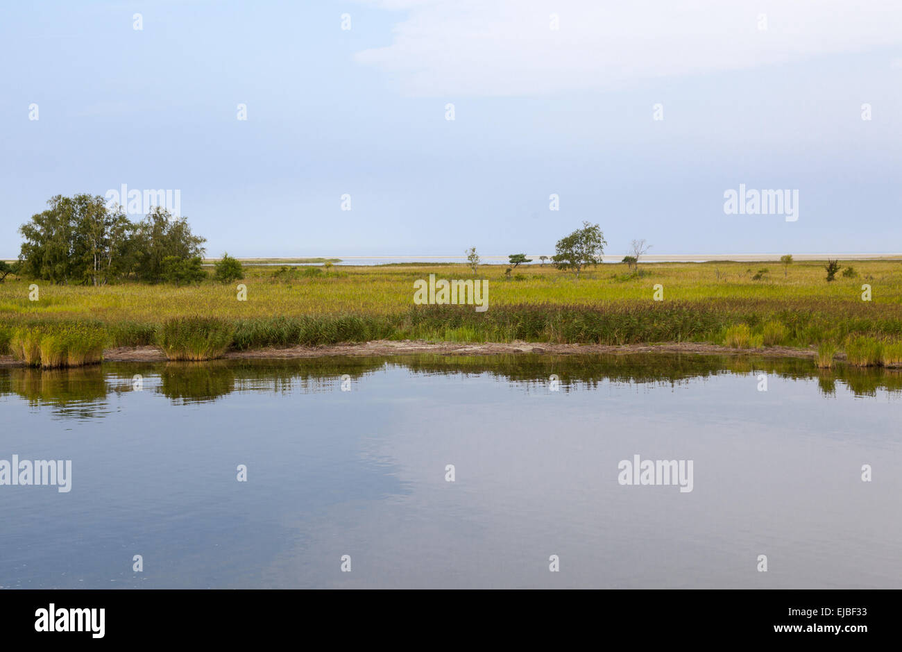 Nationalpark vorpommersche bodden landschaft hi-res stock photography ...