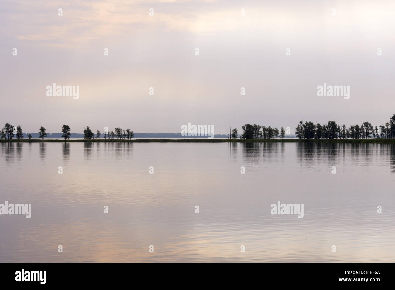 Nationalpark vorpommersche bodden hi-res stock photography and images ...