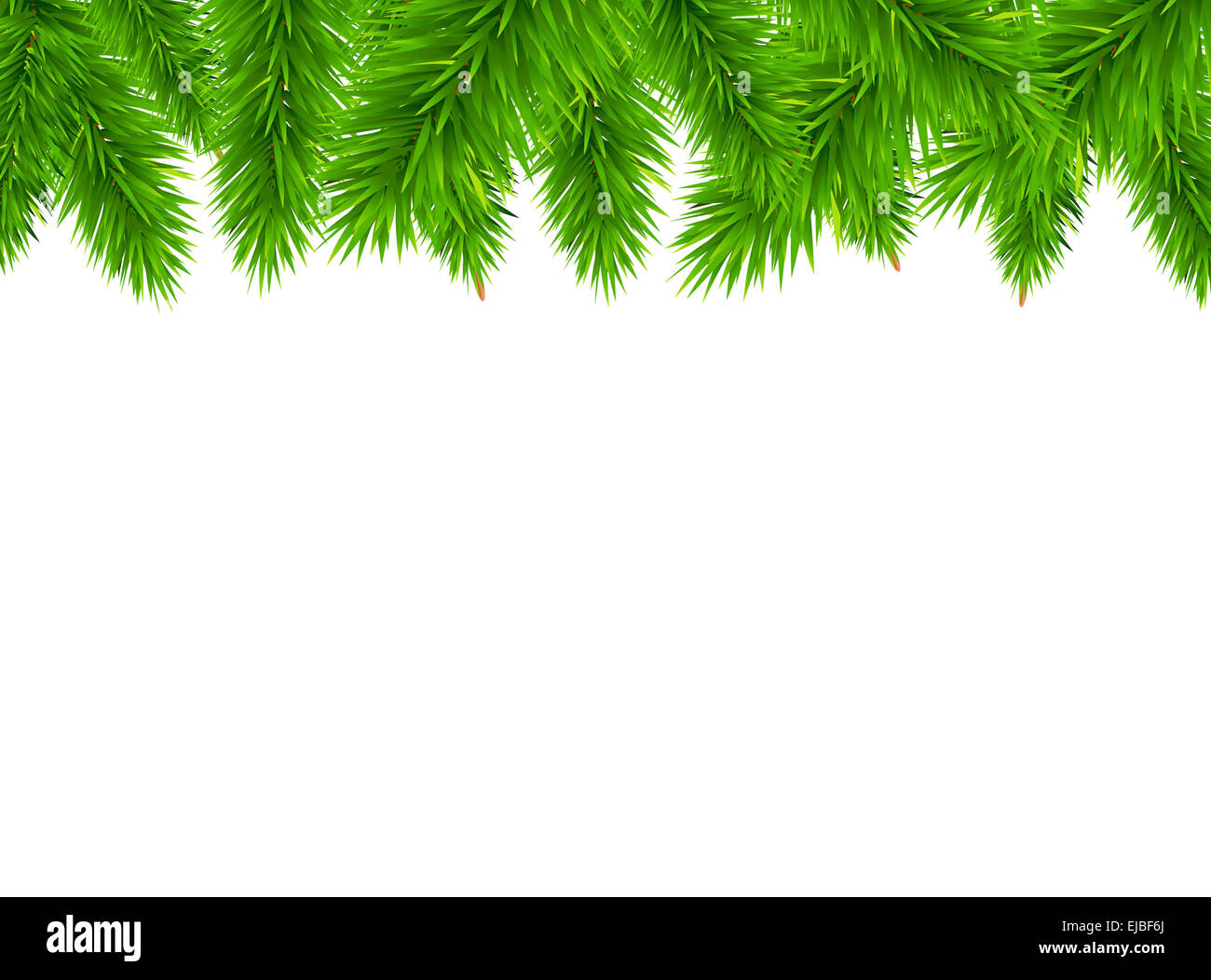 Fir Tree Border Stock Photo - Alamy