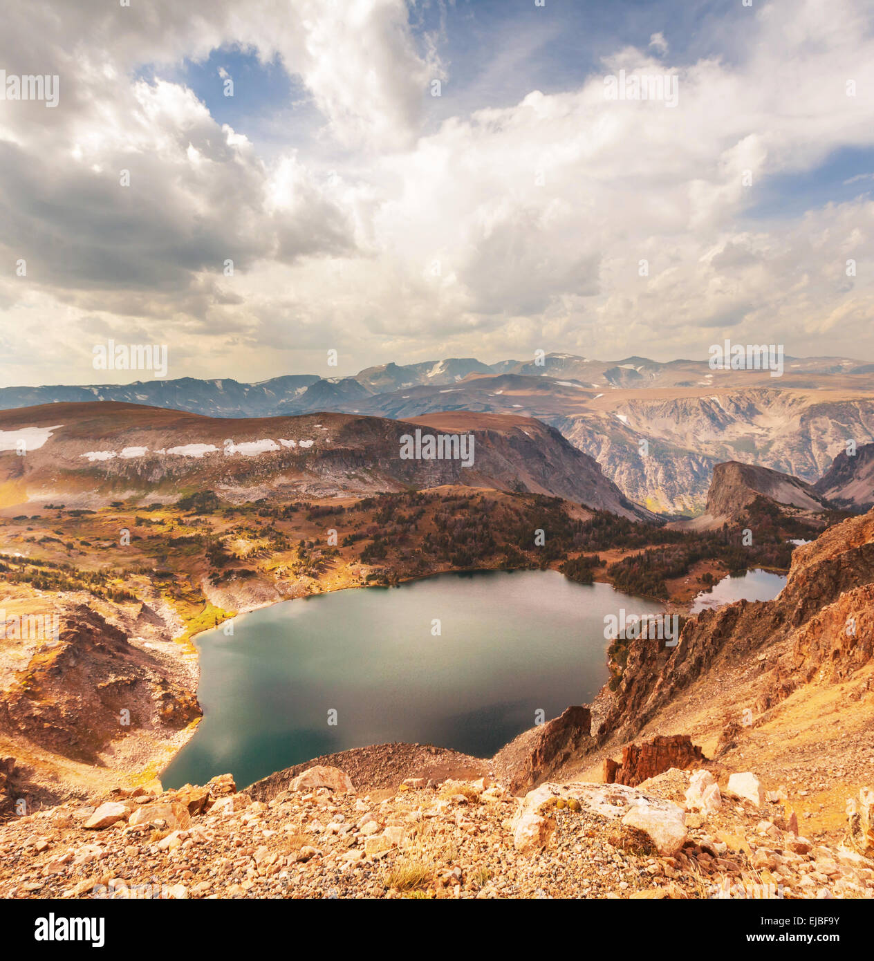 Bear tooth hi-res stock photography and images - Alamy