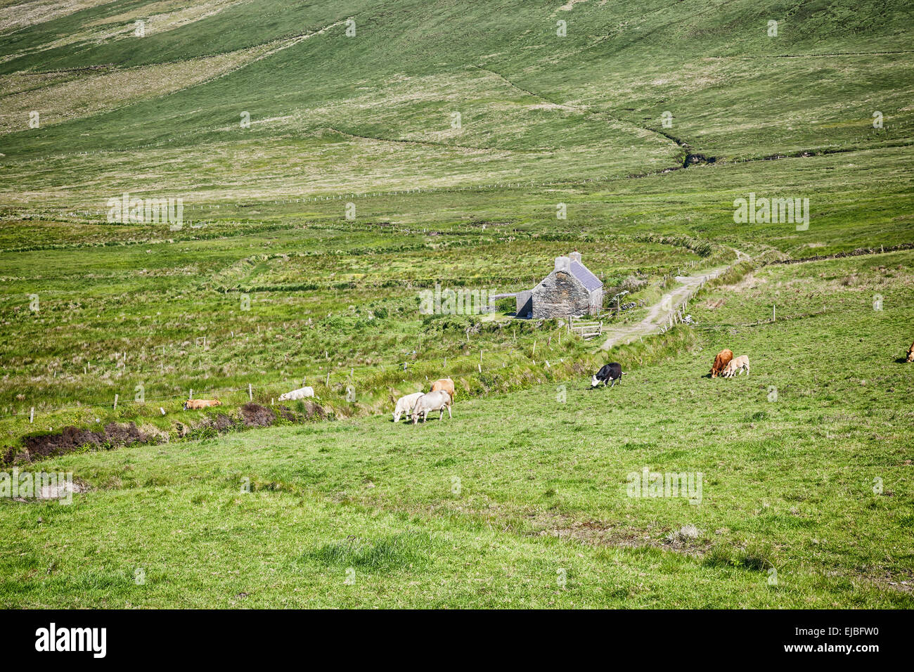 Irish landscape and house hi-res stock photography and images - Alamy