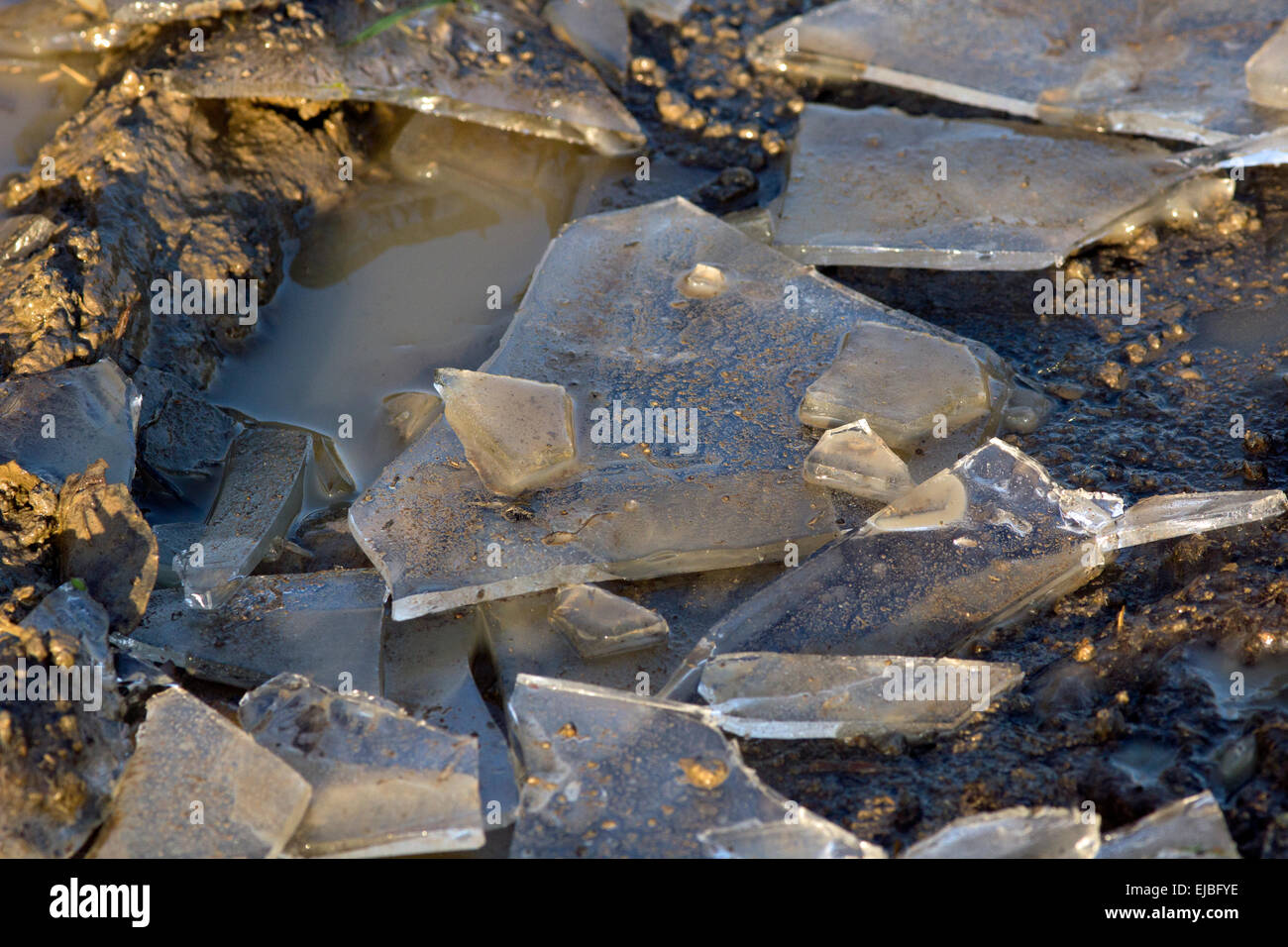 Frozen puddle cracked ice winter hi-res stock photography and images ...