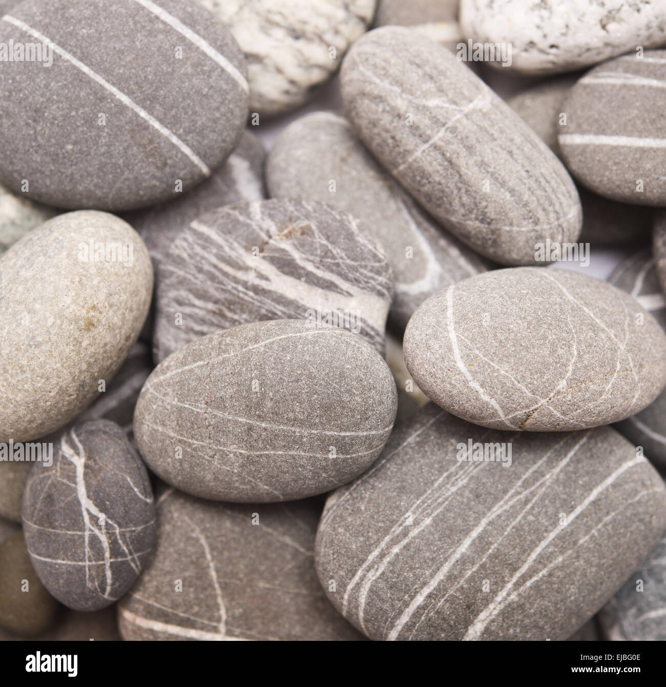 Pebble stream garden hi-res stock photography and images - Alamy