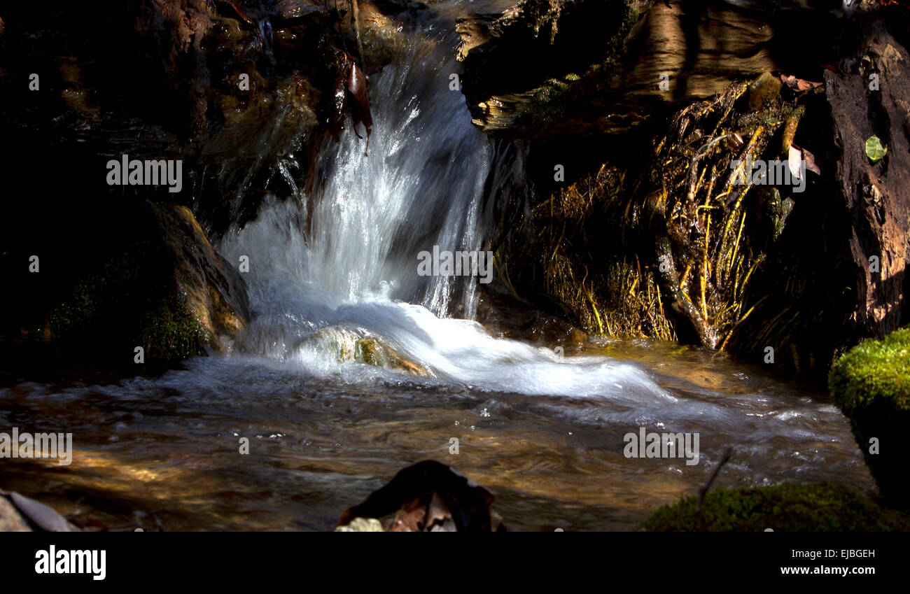 Little stream small waterfall hi-res stock photography and images - Alamy