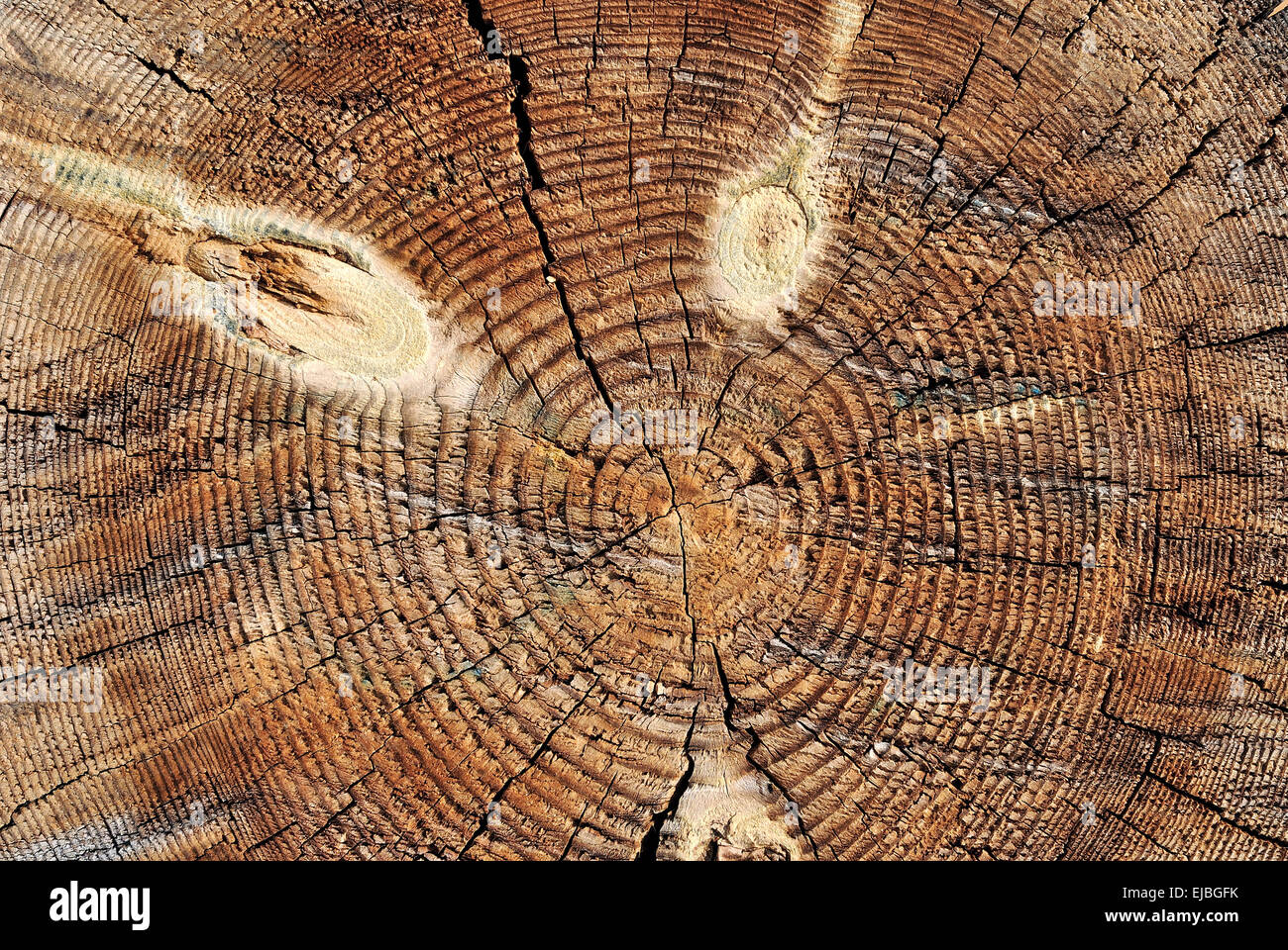 Weathered wooden cut Stock Photo - Alamy