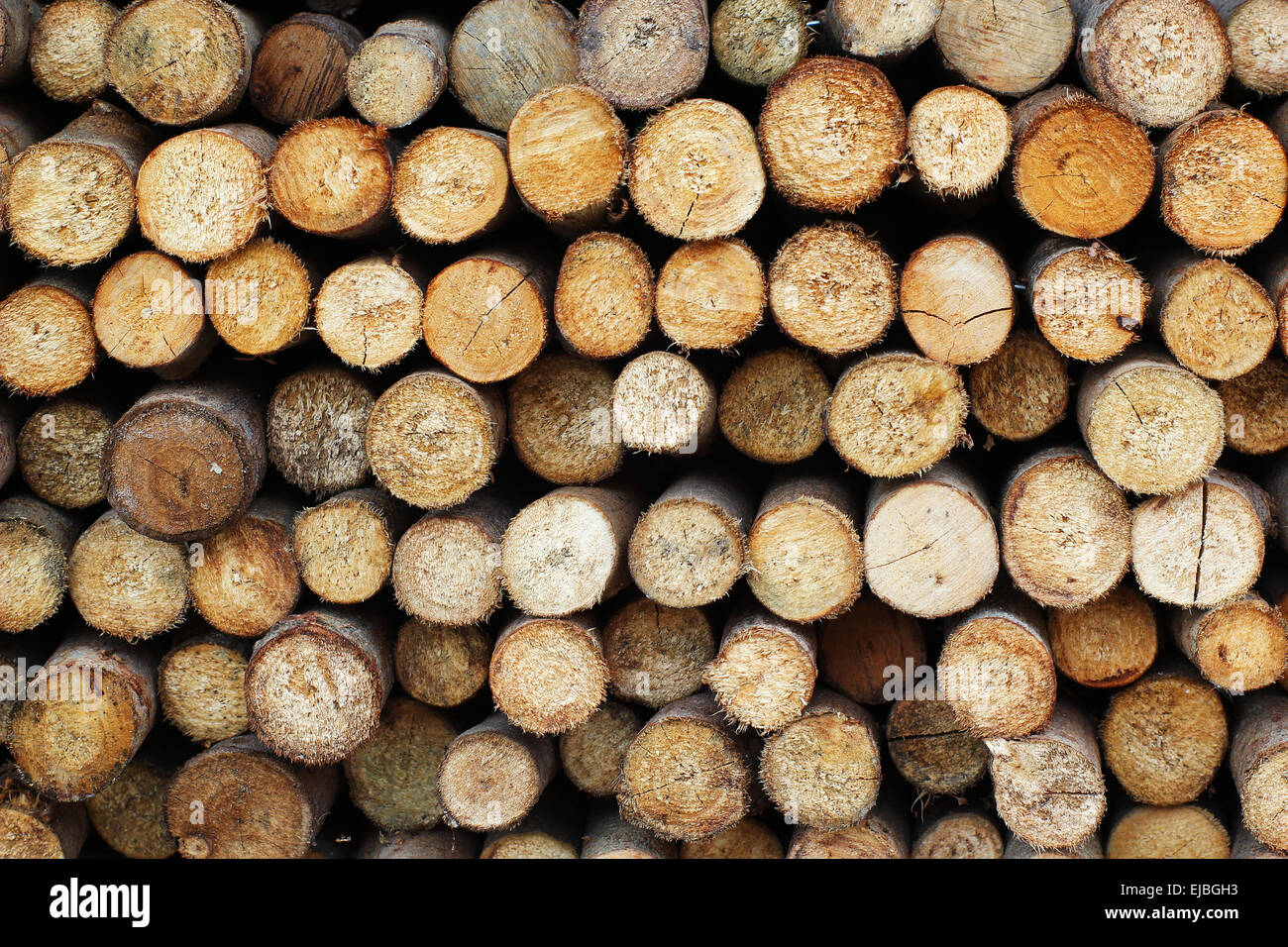 Stump stack background or texture Stock Photo - Alamy