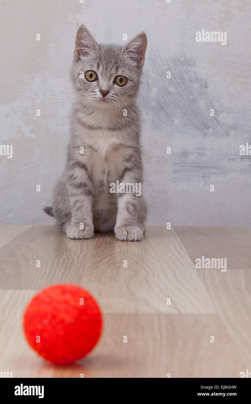 Little red ball hi-res stock photography and images - Alamy
