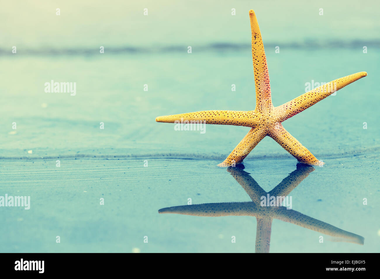 Sky starfish hi-res stock photography and images - Alamy
