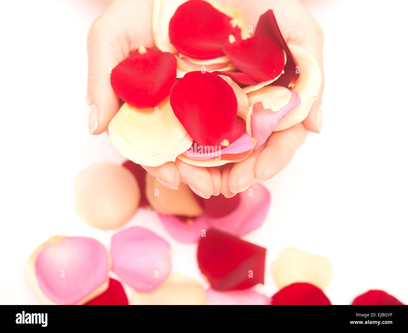 hands with petals Stock Photo - Alamy