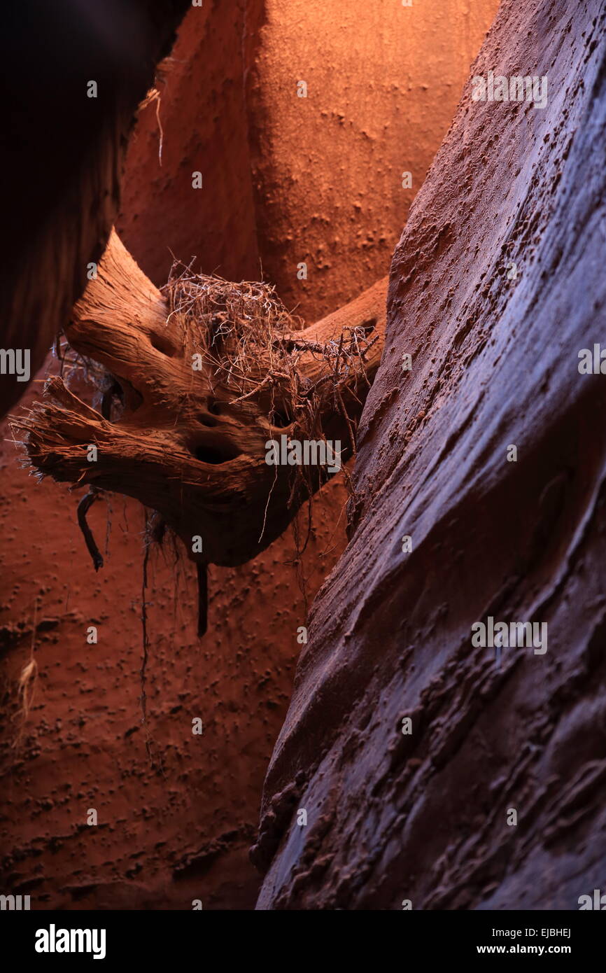 Spooky Canyon Grand Staircase-Escalante Stock Photo - Alamy