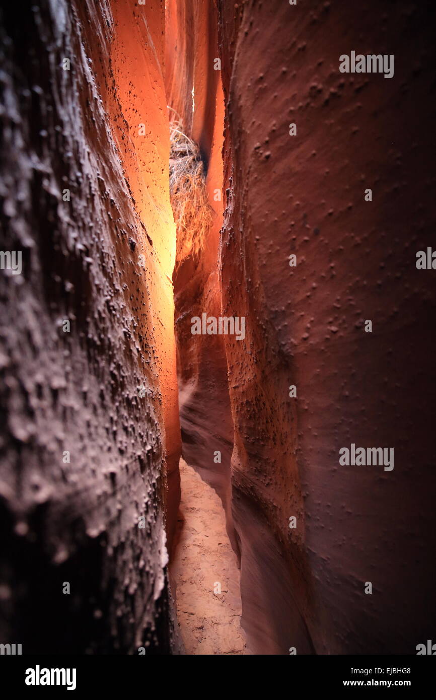 Spooky Canyon Grand Staircase-Escalante Stock Photo - Alamy