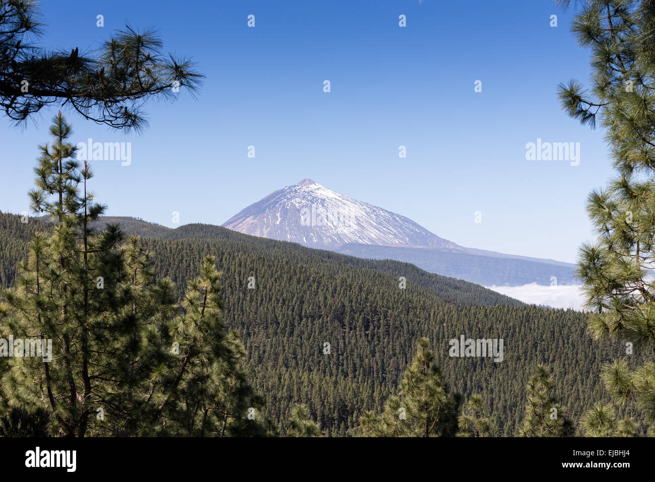 Teide view hi-res stock photography and images - Alamy