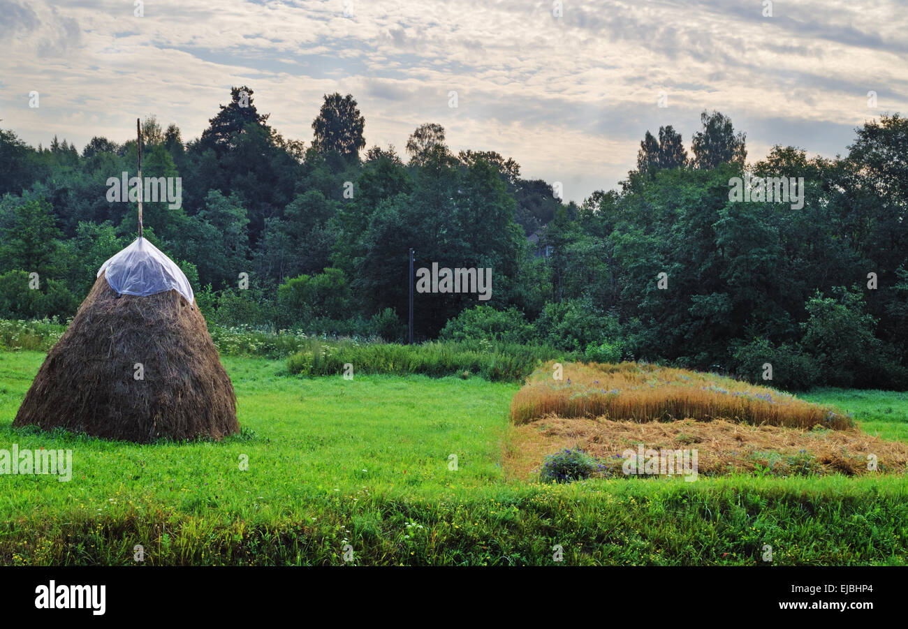 Haystack in village Stock Photo - Alamy