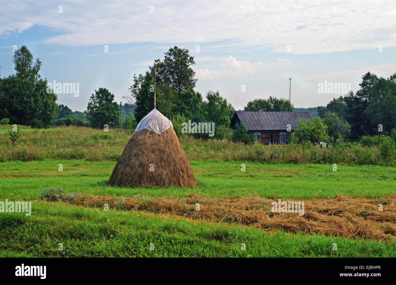 Aftergrowth hi-res stock photography and images - Alamy