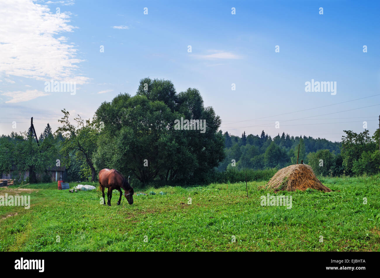 Rural landscape. Brown horse and haystack on pasture Stock Photo - Alamy
