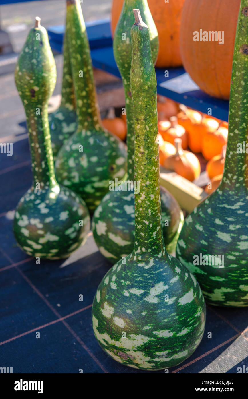 Calabash shaped bottle hi-res stock photography and images - Alamy