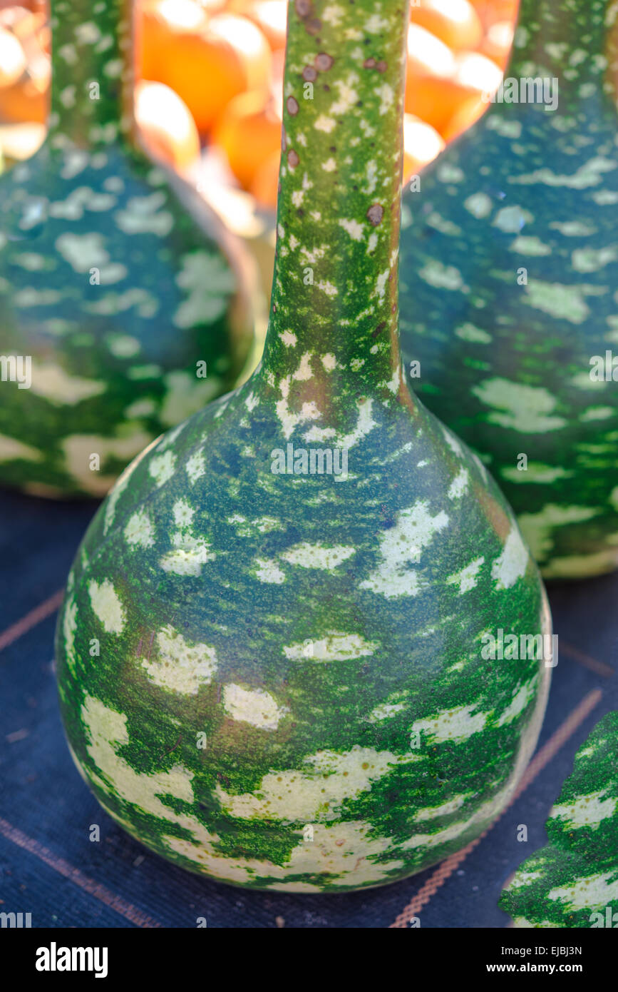 Calabash shaped bottle hi-res stock photography and images - Alamy