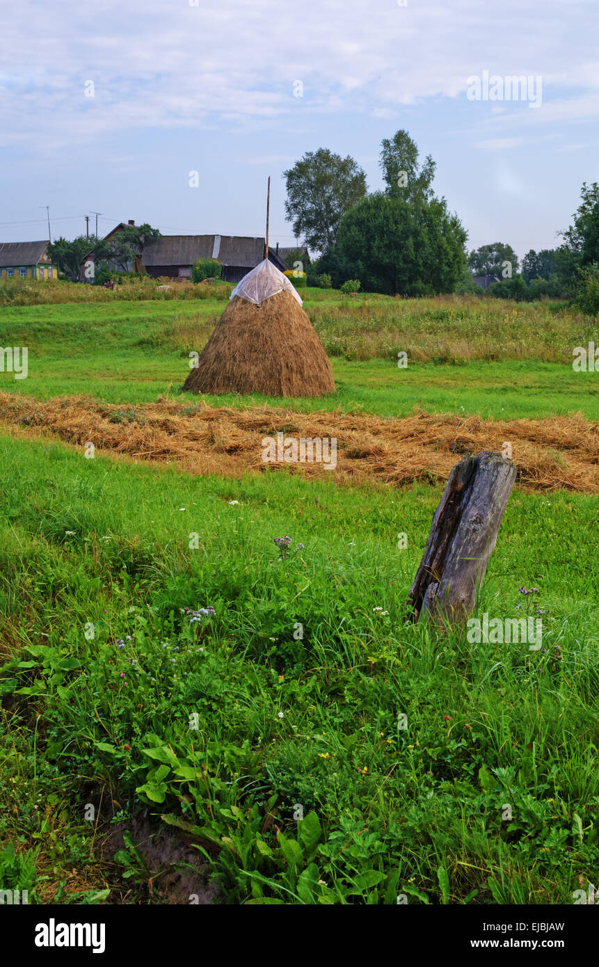 Haystack in village Stock Photo - Alamy