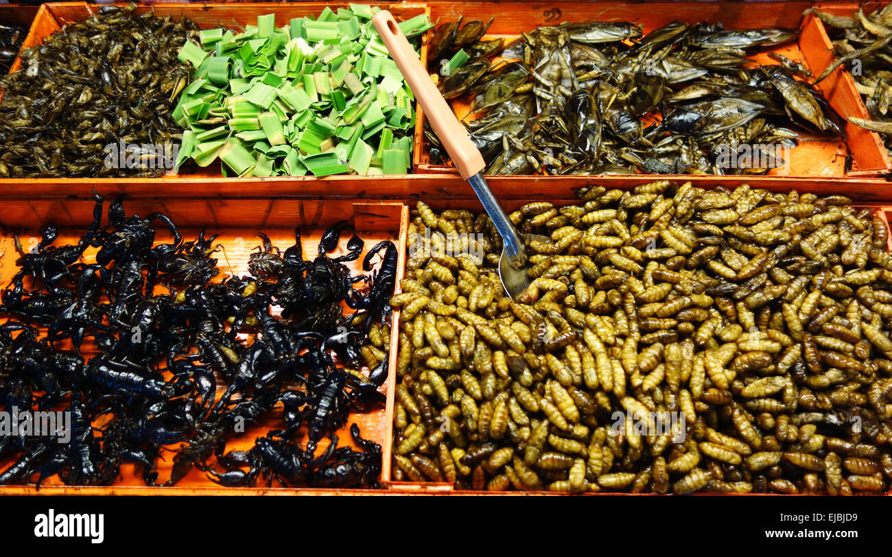 Asian fried insects hi-res stock photography and images - Alamy