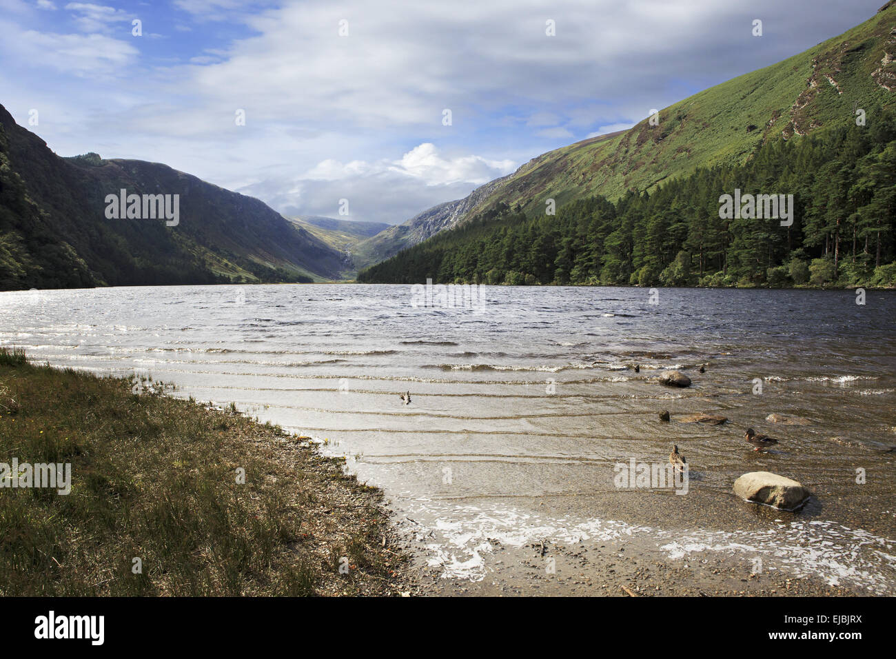 Lough tay hi-res stock photography and images - Alamy