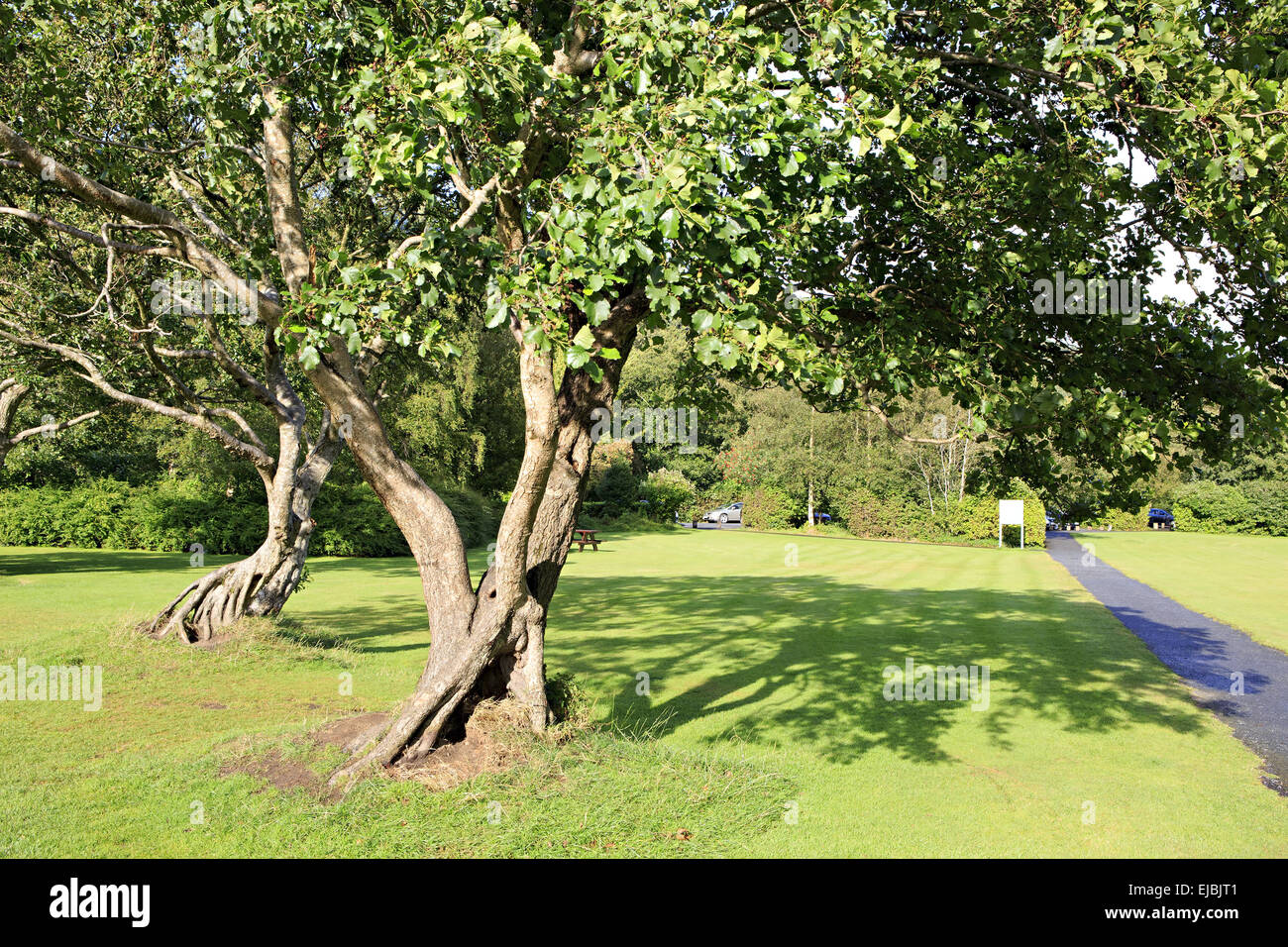 Tourism vegetation lawn green hi-res stock photography and images - Alamy