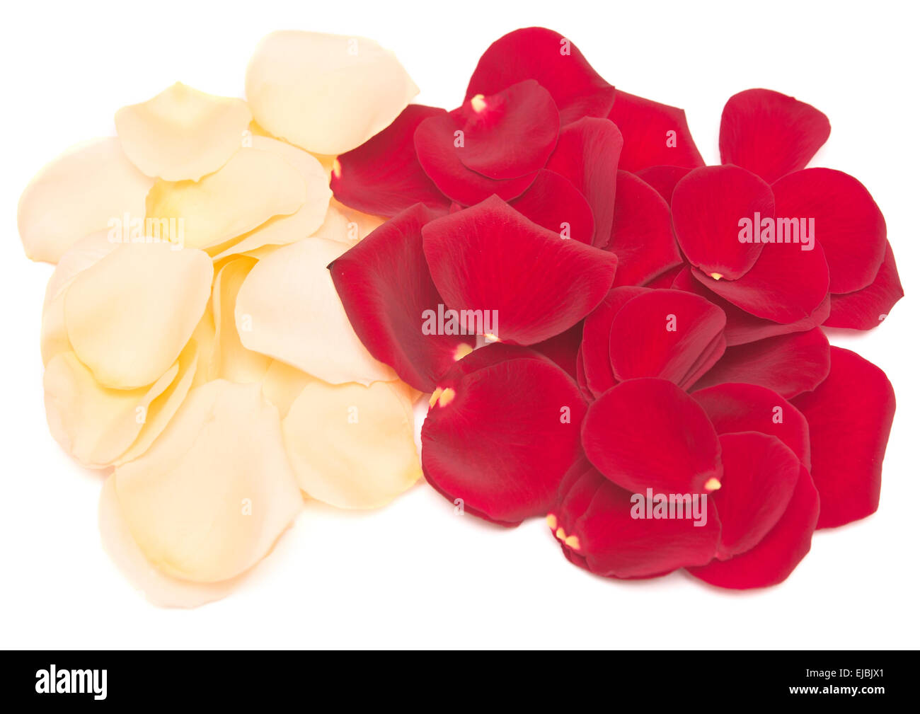 Peach blossom petals Cut Out Stock Images & Pictures - Alamy