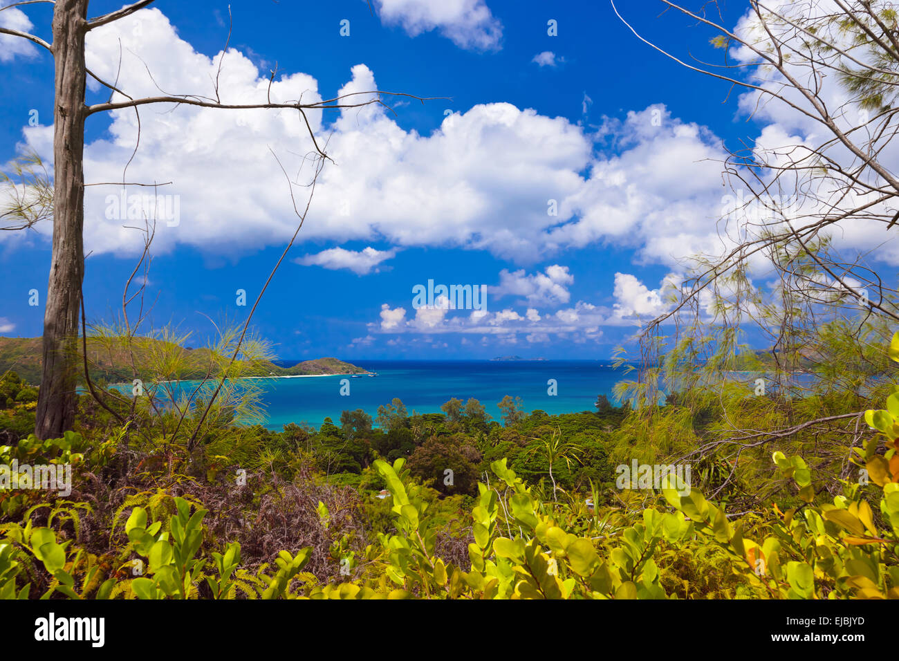 Landscape of island Praslin - Seychelles Stock Photo - Alamy