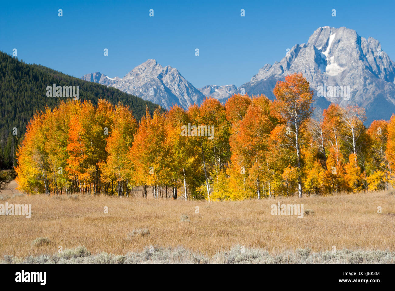 Grand tetons autumn hi-res stock photography and images - Alamy