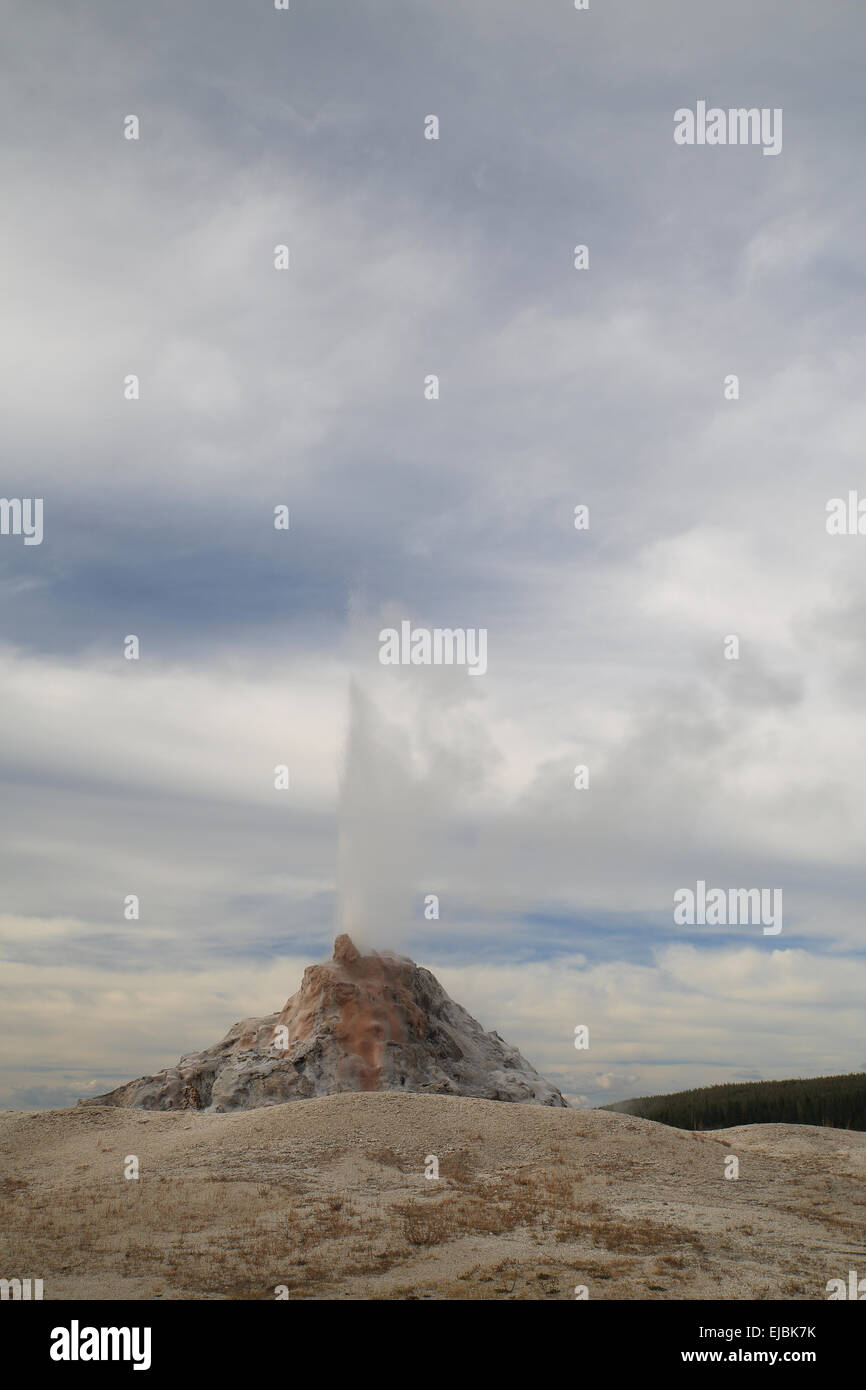 White Dome Geyser Yellowstone NP Stock Photo - Alamy
