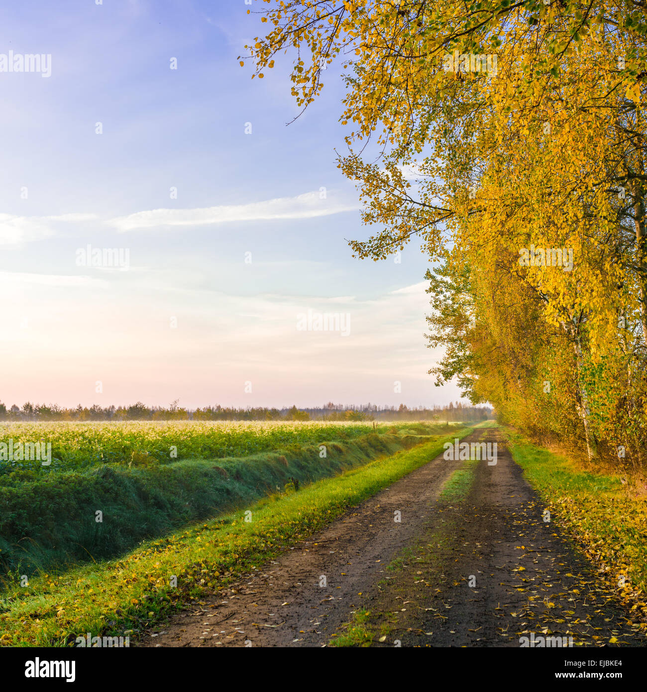 R moorland hi-res stock photography and images - Alamy