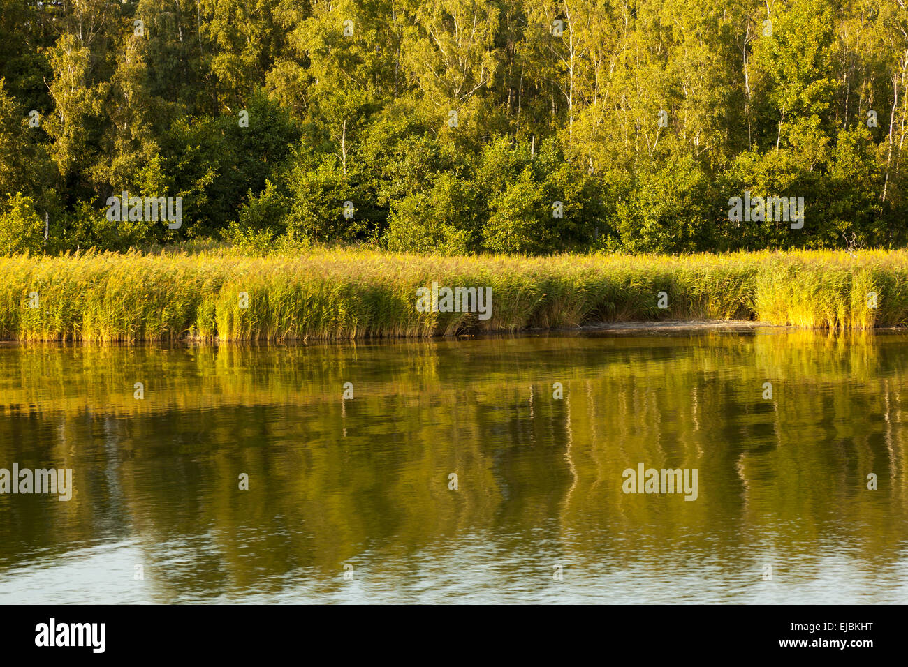 Bodden landscape hi-res stock photography and images - Alamy